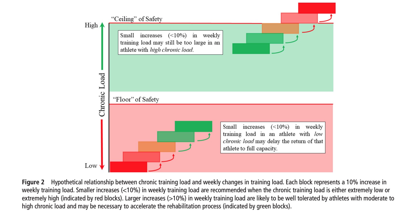 The 10% Rule: Does it hold True? | POGO Physio Gold Coast
