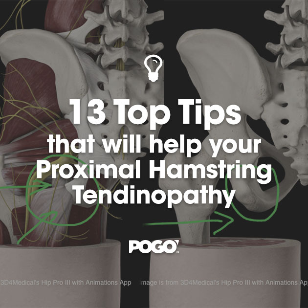 13 Top Tips that will help your Proximal Hamstring Tendinopathy | POGO ...