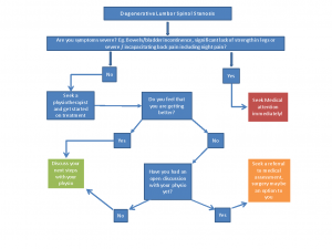 Degenerative Lumbar Spinal Stenosis – Patient Handout | POGO Physio ...