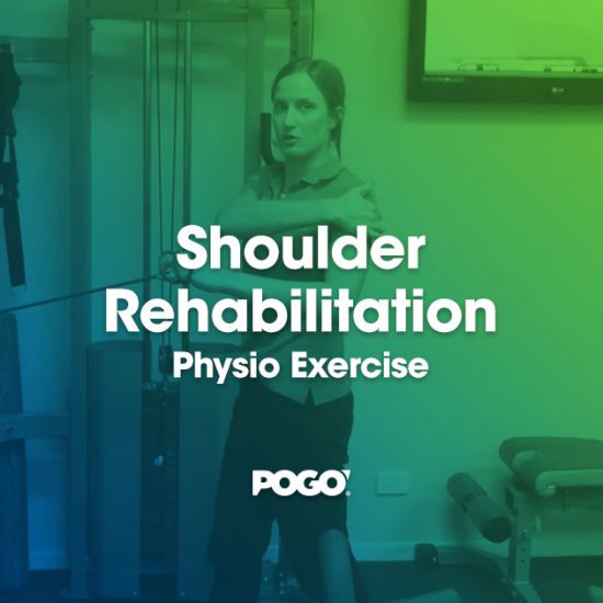 Shoulder Rehabilitation Physio Exercise - Chariots | POGO Physio Gold Coast
