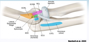 Common Causes of Elbow Pain: Diagnosing and Understanding Symptoms ...