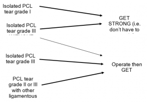 Posterior Cruciate Ligament (PCL) Injuries | POGO Physio Gold Coast