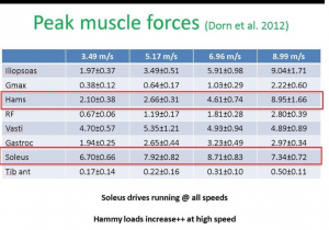 Why You Need High Speed Running | POGO Physio Gold Coast