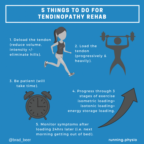 How to Rehabilitate Proximal Hamstring Tendinopathy | POGO Physio Gold ...