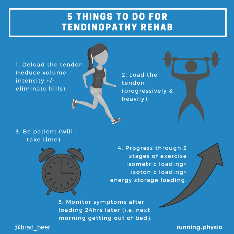 How to Rehabilitate Proximal Hamstring Tendinopathy | POGO Physio Gold ...