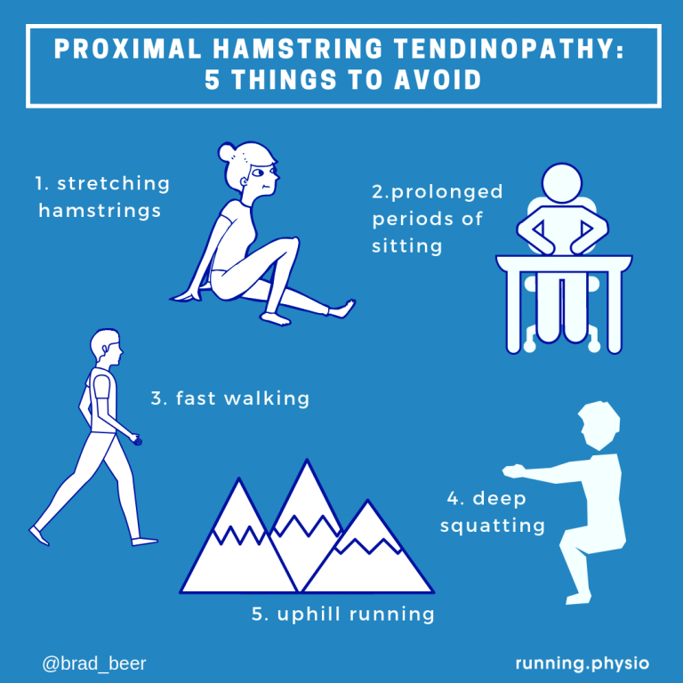 How to Rehabilitate Proximal Hamstring Tendinopathy | POGO Physio Gold ...