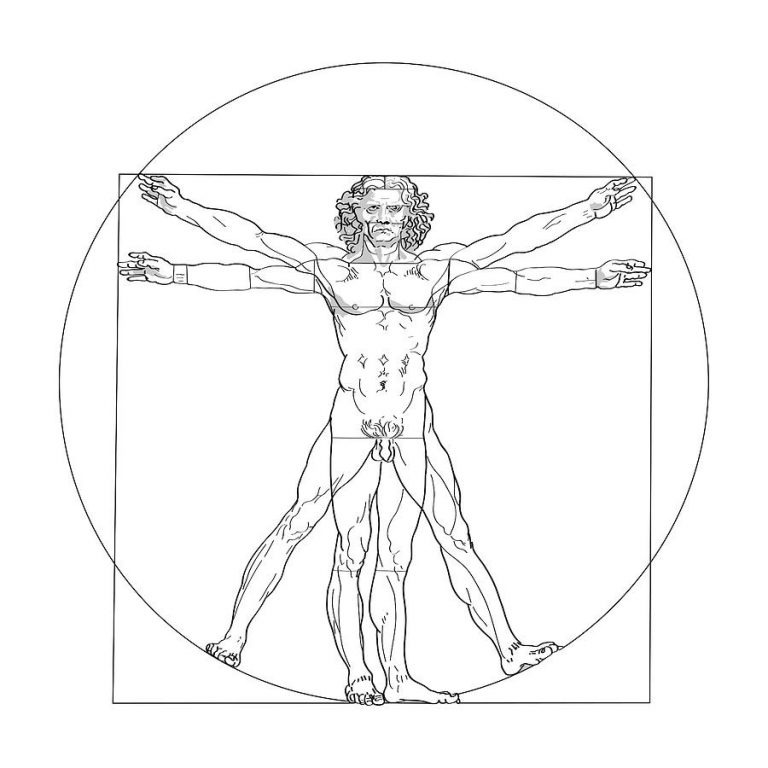 Movement Culture and Injury Prevention | POGO Physio Gold Coast