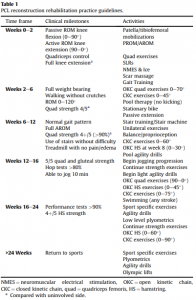 Posterior Cruciate Ligament (PCL) Injuries | POGO Physio Gold Coast