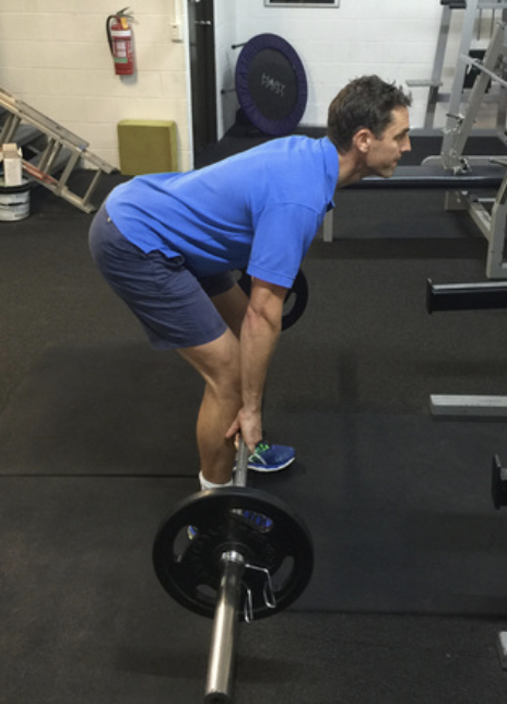 How to Rehabilitate Proximal Hamstring Tendinopathy | POGO Physio Gold ...