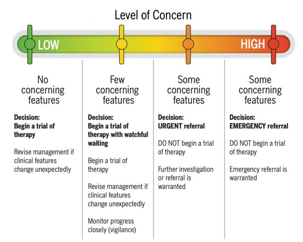 Red Flags for Spinal Pathology | POGO Physio Gold Coast
