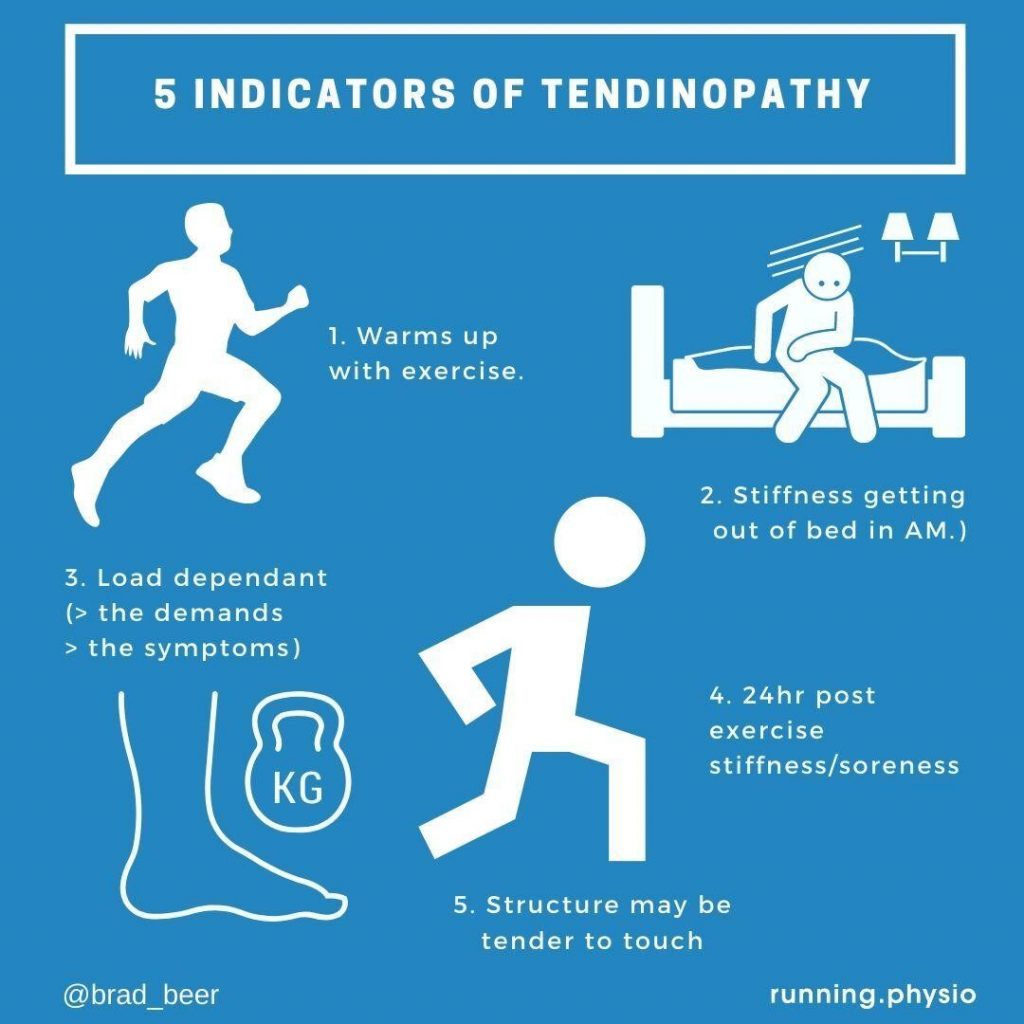 How to Rehabilitate Proximal Hamstring Tendinopathy | POGO Physio Gold ...