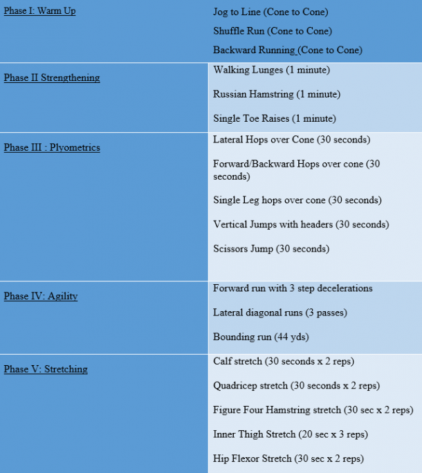 Prevention of Non-Contact Anterior Cruciate Ligament (ACL) Injuries in ...